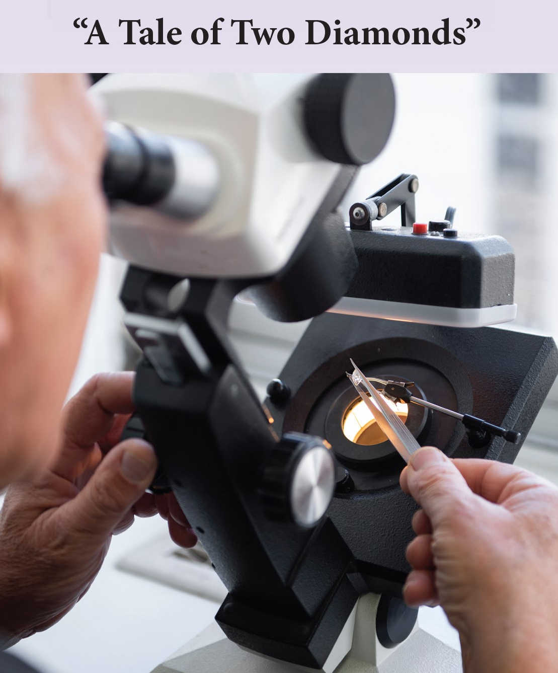 Natural / Lab-Grown Diamonds Downloadable Brochure - The Plumb Club