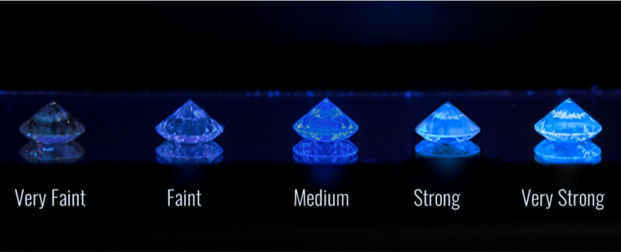 Diamond Types - The Plumb Club