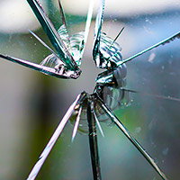 Practical Tips for Preventing Smash & Grabs - The Plumb Club