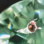 Types of Diamond Inclusions - The Plumb Club